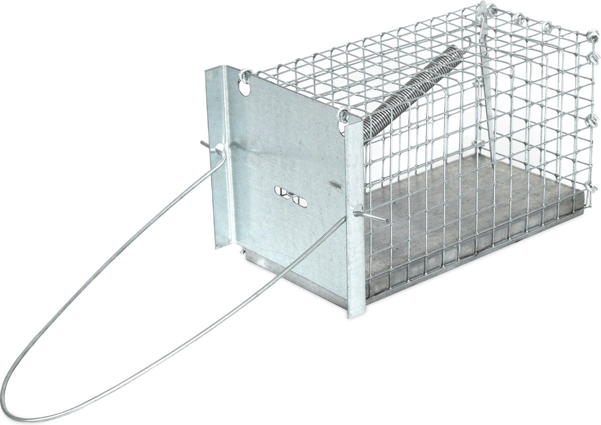 Holtaz® Fallen voor kleine dieren : rat, muis - Val voor ratten en ...