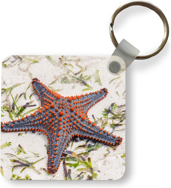 Sleutelhanger - Zeester - Blauw - Zand - Plastic - Rond ...