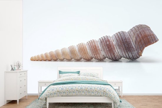 Behang - Fotobehang Schelp - Lang - Punt - Breedte 360 cm x hoogte 240 ...
