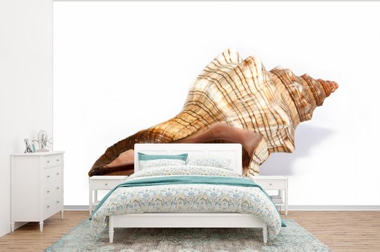 Behang - Fotobehang Schelp - Wit - Zee - Breedte 350 cm x hoogte 260 cm ...