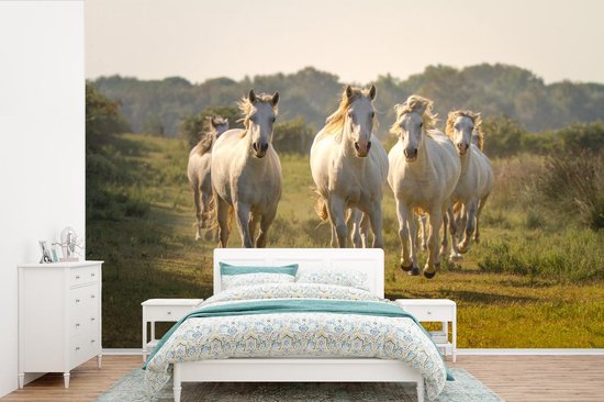 Behang - Fotobehang Galopperende witte paarden - Breedte 390 cm x ...