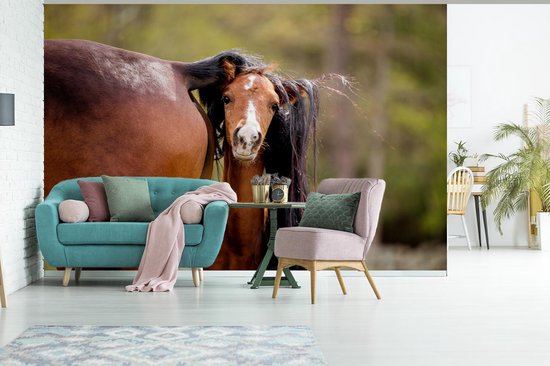 Behang - Fotobehang Paarden - Natuur - Bruin - Breedte 330 cm x hoogte ...