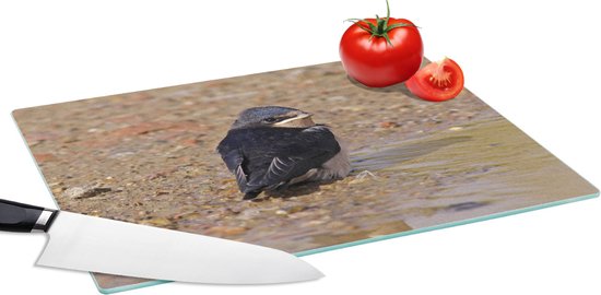 Glazen Snijplank - 39x28 - Zwaluw - Baby - Water - Snijplanken Glas | bol