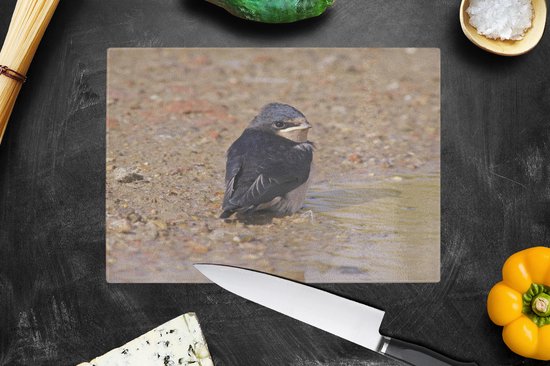 Glazen Snijplank - 28x20 - Zwaluw - Baby - Water - Snijplanken Glas ...