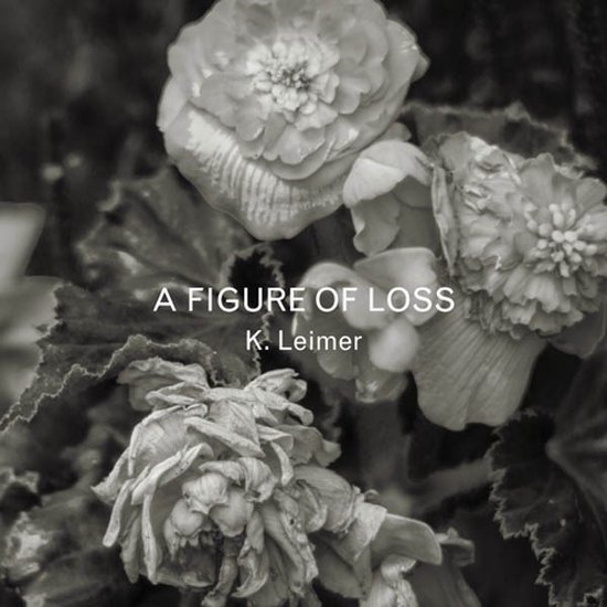 K. Leimer - A Figure Of Loss (CD), K. Leimer | CD (album) | Muziek ...
