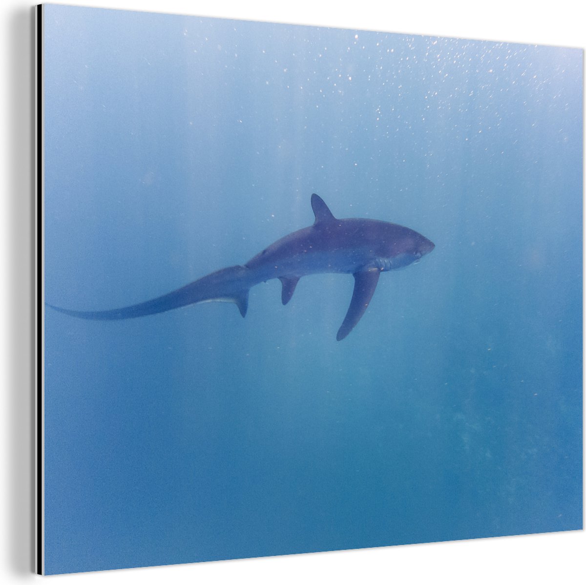 Décoration murale Métal - Peinture Aluminium Industrielle - Requin ...