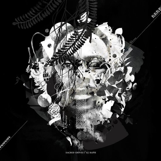 DJ Raph - Sacred Grooves (CD), Dj Raph | CD (album) | Muziek | bol
