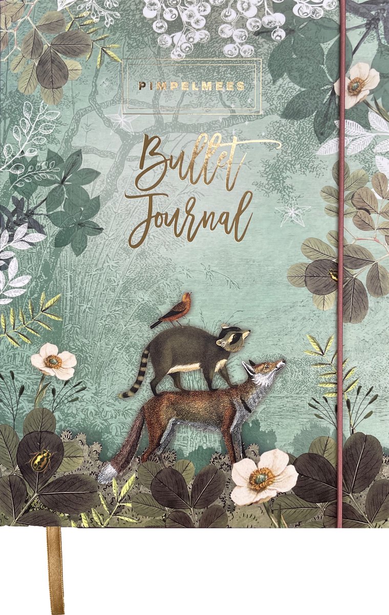 Pimpelmees bullet journal Green Fox | bol.com