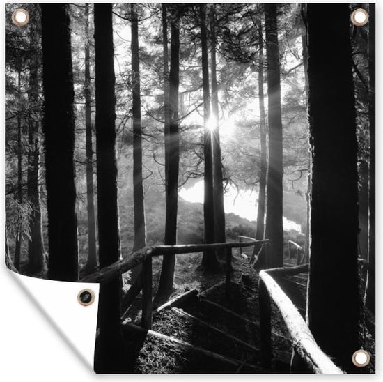 Tuinposters Bos - Trap - Azoren - Zwart - Wit - 50x50 cm - Tuindoek ...