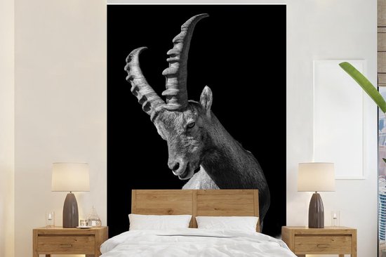 Behang - Fotobehang Zwart-wit geitenfoto - Breedte 200 cm x hoogte 300 ...