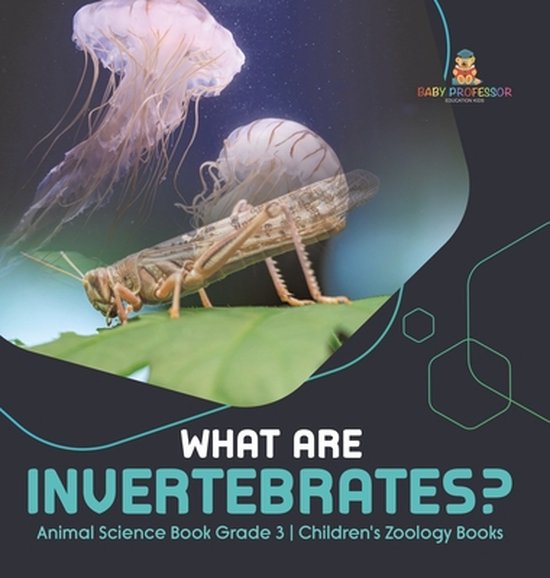 What Are Invertebrates? Animal Science Book Grade 3 Children's Zoology ...