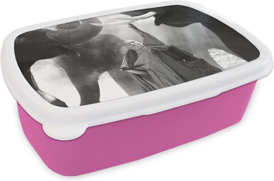 Broodtrommel Roze - Lunchbox - Brooddoos - De monnik en de olifanten ...