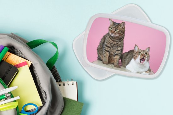 Broodtrommel Wit - Lunchbox - Brooddoos - Kat - Roze - Poef - Meisjes ...