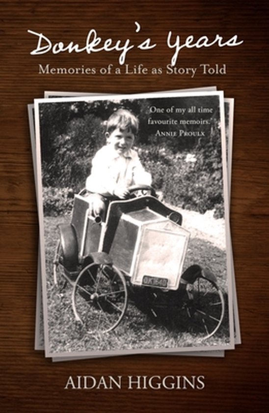 Donkey's Years, Aidan Higgins | 9781905494934 | Boeken | bol.com