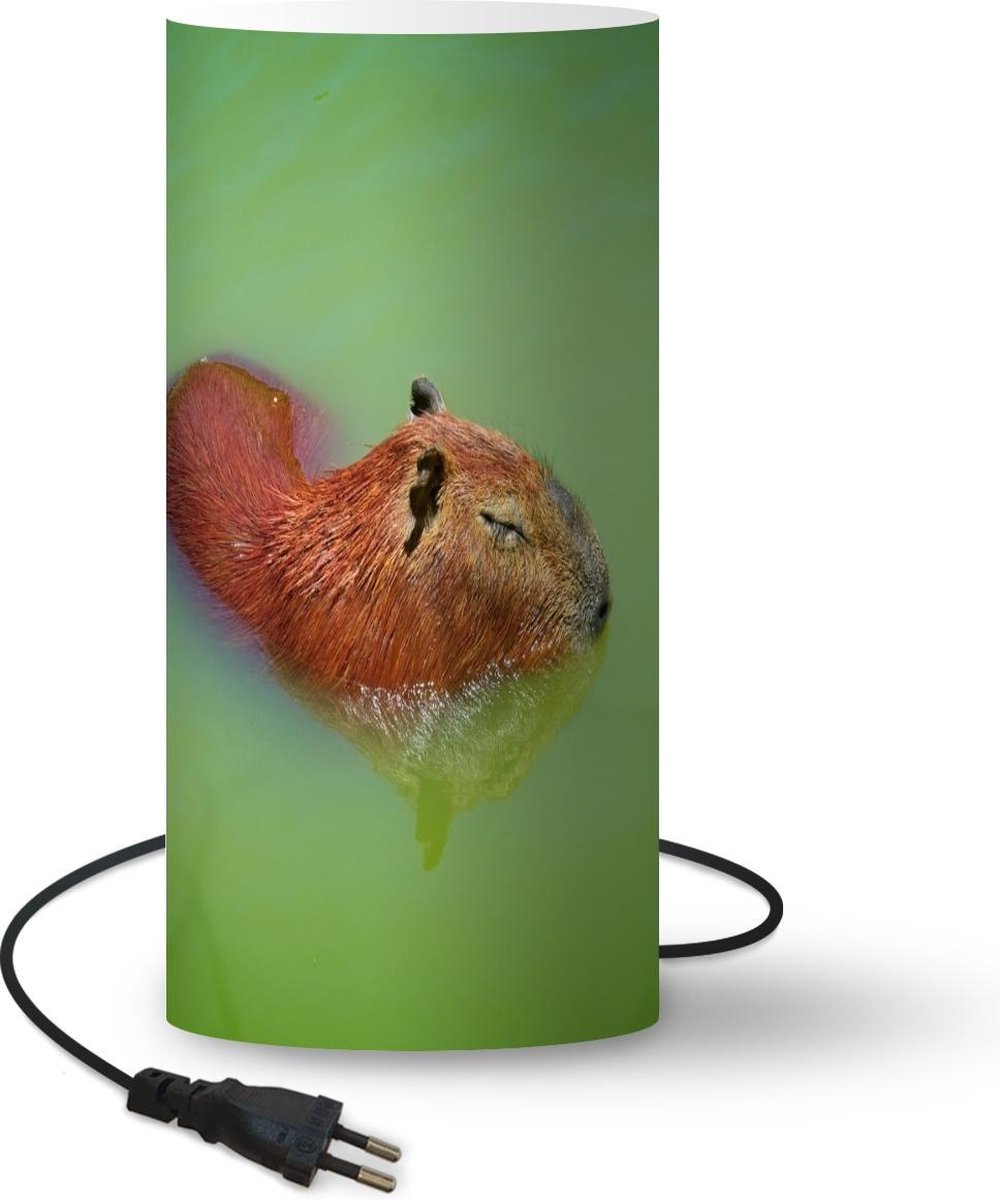 Lampe Rongeurs - Capybara aux yeux fermés dans une lampe à eau verte ...
