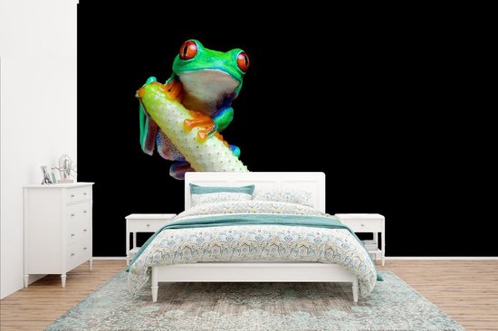 Behang - Fotobehang Kikker - Dieren - Plant - Breedte 400 cm x hoogte ...