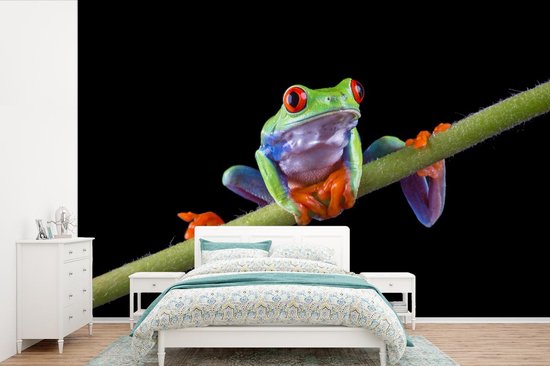 Behang - Fotobehang Kikker - Plant - Zwart - Breedte 330 cm x hoogte ...