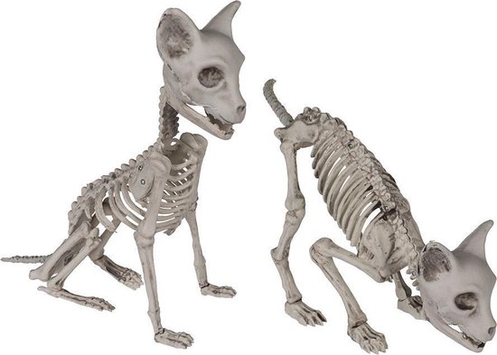 JML Commerce Halloween Katten Skelet - Halloween Decoratie - Decoratie ...
