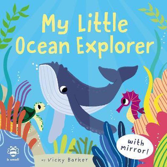 Mirror books- My Little Ocean Explorer, Vicky Barker | 9781913918255 ...