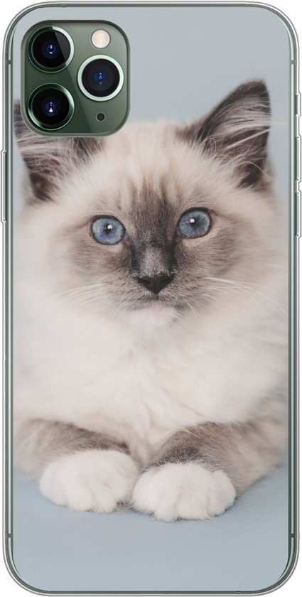 Geschikt voor iPhone 11 Pro Max hoesje - Kat - Ragdoll Kat - Blauw ...