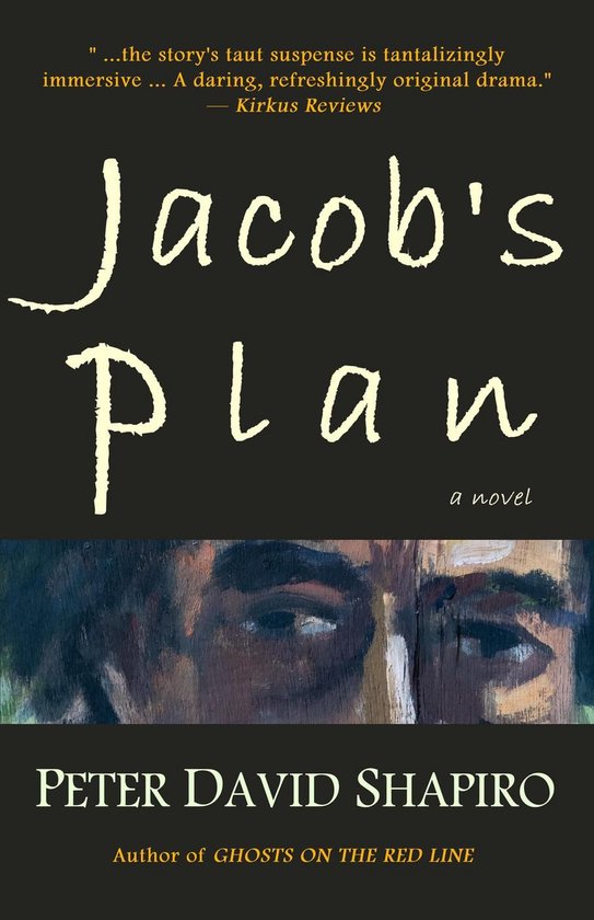 Jacob's Plan (ebook), Peter David Shapiro | 9780983924470 | Boeken ...