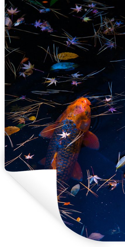 Muurstickers - Sticker Folie - Een gekleurde koi karper in een vijver - 80x160 cm -... | bol