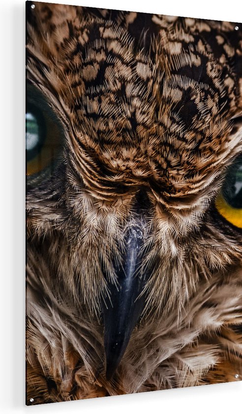 Artaza Glasschilderij - Uilenkop Met Gele Ogen - Uil - 90x135 - Groot ...