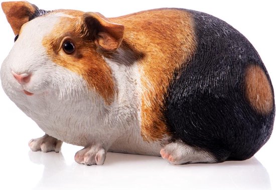 Beeldje - cavia - polystone | bol