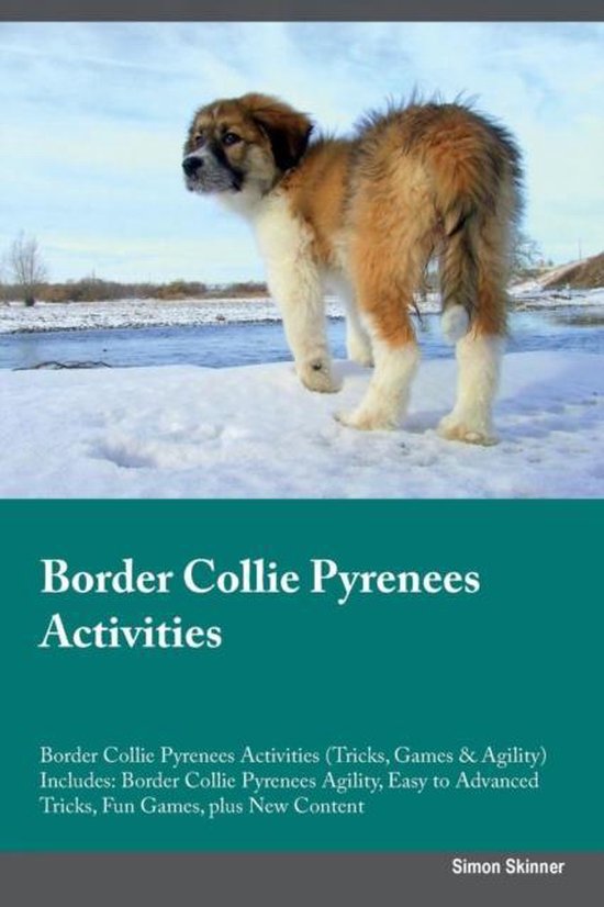 Border Collie Pyrenees Activities Border Collie Pyrenees Activities ...