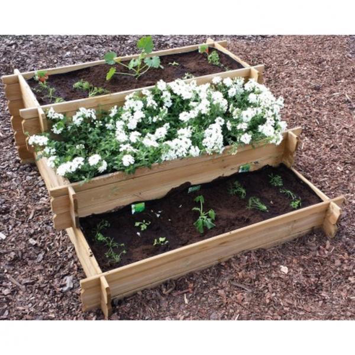 Moestuinbak in trapvorm - 3 niveaus | bol.com