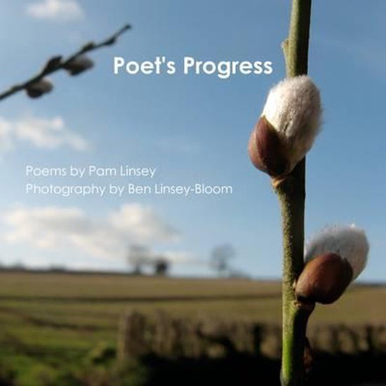 Poet's Progress, Ben Linsey-Bloom | 9781291045062 | Boeken | bol