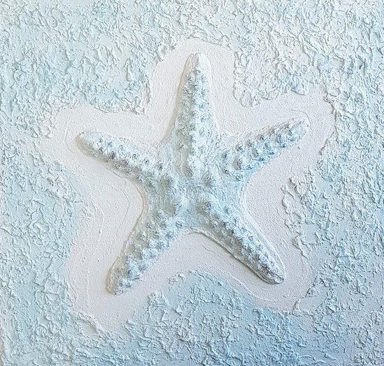 3D Schilderij Zeester | bol.com