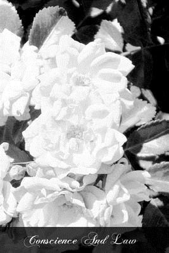 Conscience and Law, William Humphrey S J | 9781475208795 | Boeken | bol.com