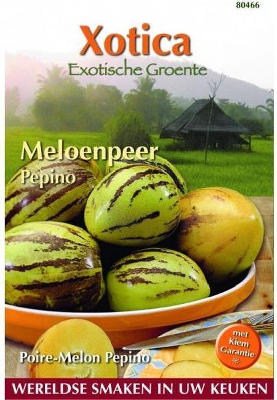 Pepino - Solanum muricatum (Exoot) - 3 sets | bol.com