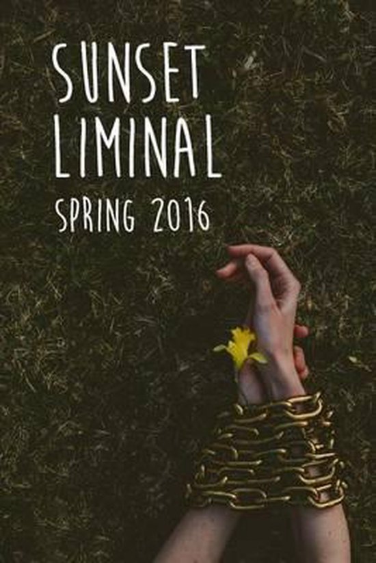 Sunset Liminal vol. 3, Sunset Liminal Press | 9780692678039 | Boeken ...