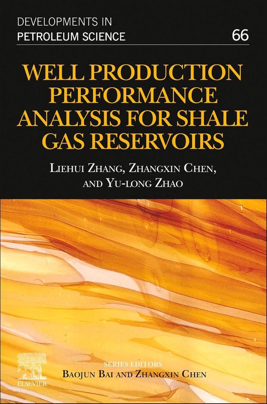 Well Production Performance Analysis for Shale Gas Reservoirs ...