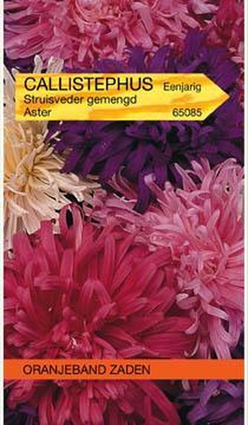 Callistephus, Aster Struisveder gemengd | bol