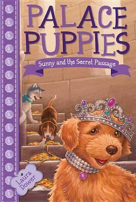 Sunny and the Secret Passage, Laura Dower | 9781423164883 | Boeken ...