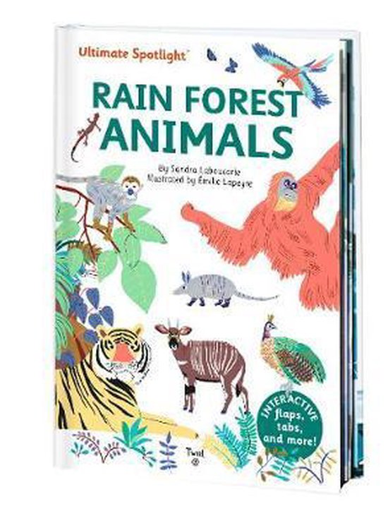 Ultimate Spotlight: Rain Forest Animals, Sandra Laboucarie ...