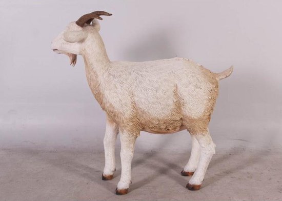 Beeld van een geit | bol