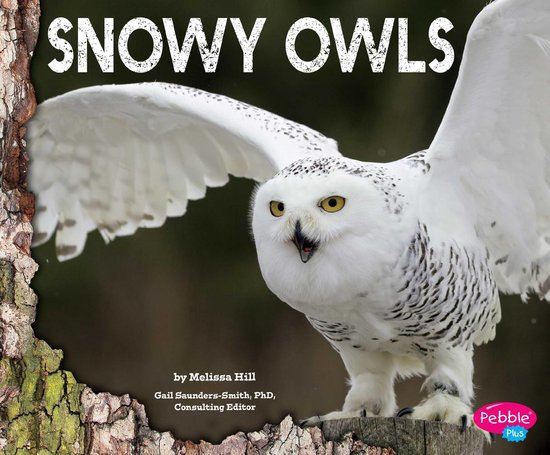 Owls - Snowy Owls (ebook), Gail Saunders-Smith | 9781496629128 | Boeken ...