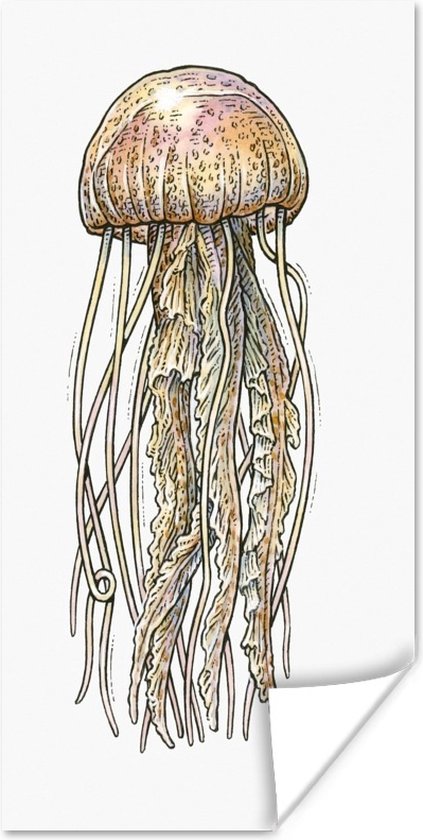 Poster Tekenen - Kwal - Oranje - 40x80 cm | bol.com