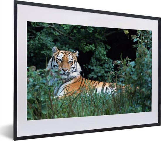 Fotolijst incl. Poster - Tijger - Gras - Groen - 40x30 cm - Posterlijst | bol