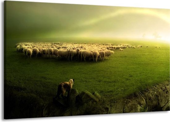 Schilderij Op Canvas - Groot - Schaap - Groen, Geel, Wit - 140x90cm ...