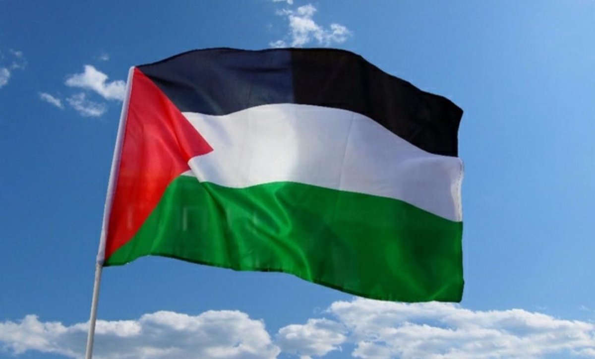 Palestijnse vlag - Palestina vlag | bol.com