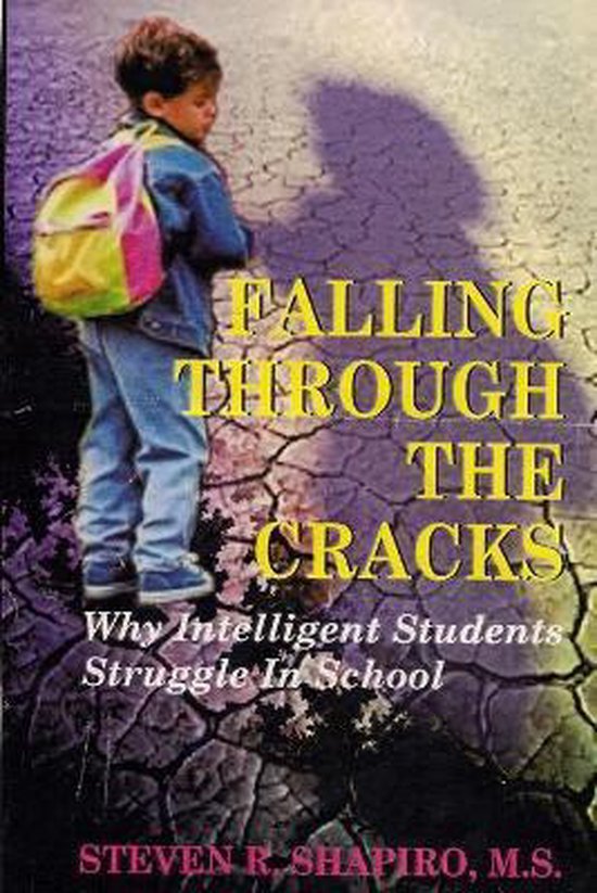 Falling Through The Cracks | 9798683450113 | Steven R Shapiro | Boeken | bol.com