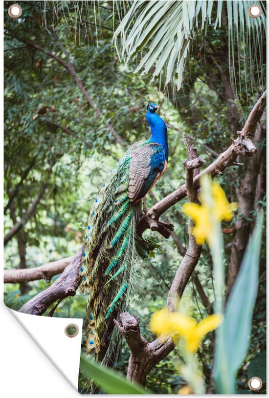 Tuinposter - Tuindoek - Tuinposters buiten - Pauw - Blauw - Bos ...