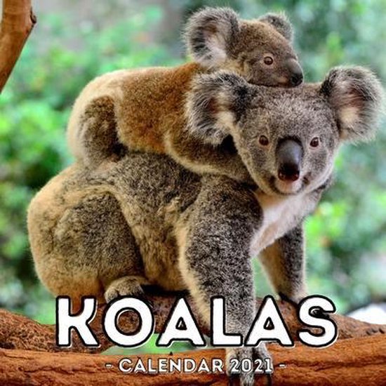Koalas Calendar 2021, Attractive Potato Press | 9798741364437 | Boeken ...
