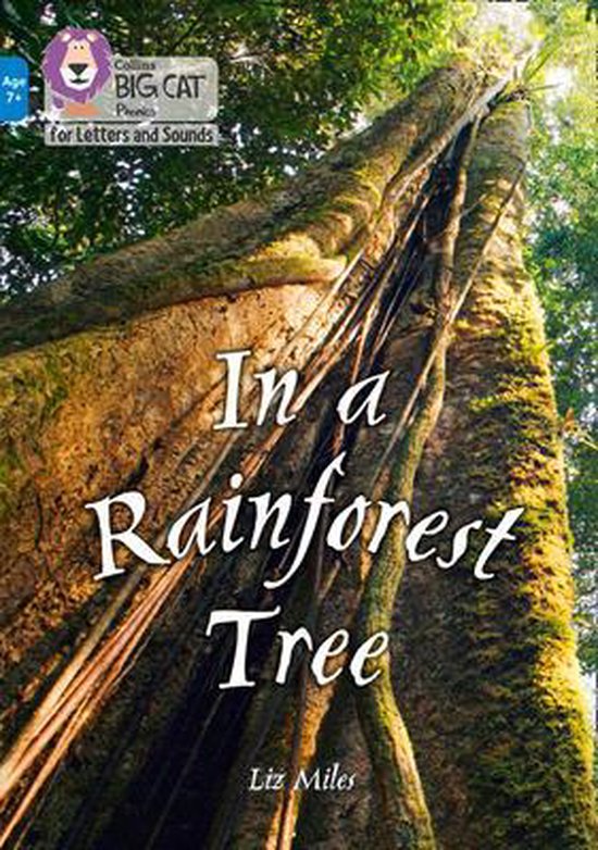 Collins Big Cat Phonics for Letters and Sounds – Age 7+- In a ...