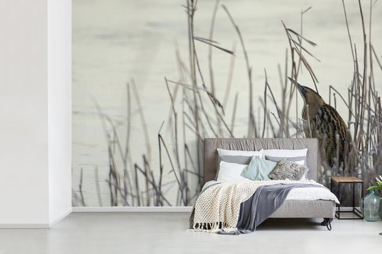 Behang - Fotobehang Een roerdomp op de rand van een bevroren meer ...